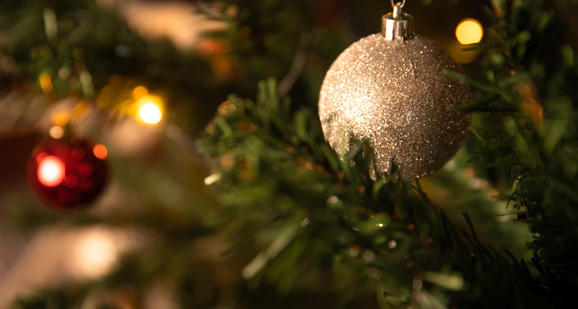 Julkonsert med Lina och Lis | Karlstads kommun